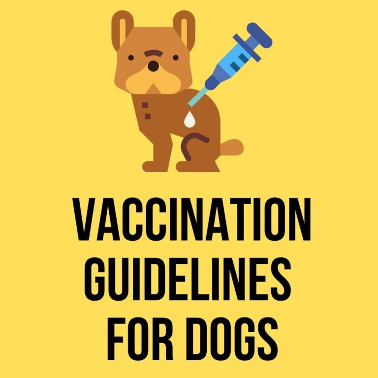 Vaccination Guidelines For Dogs - 2022 Updated Guide