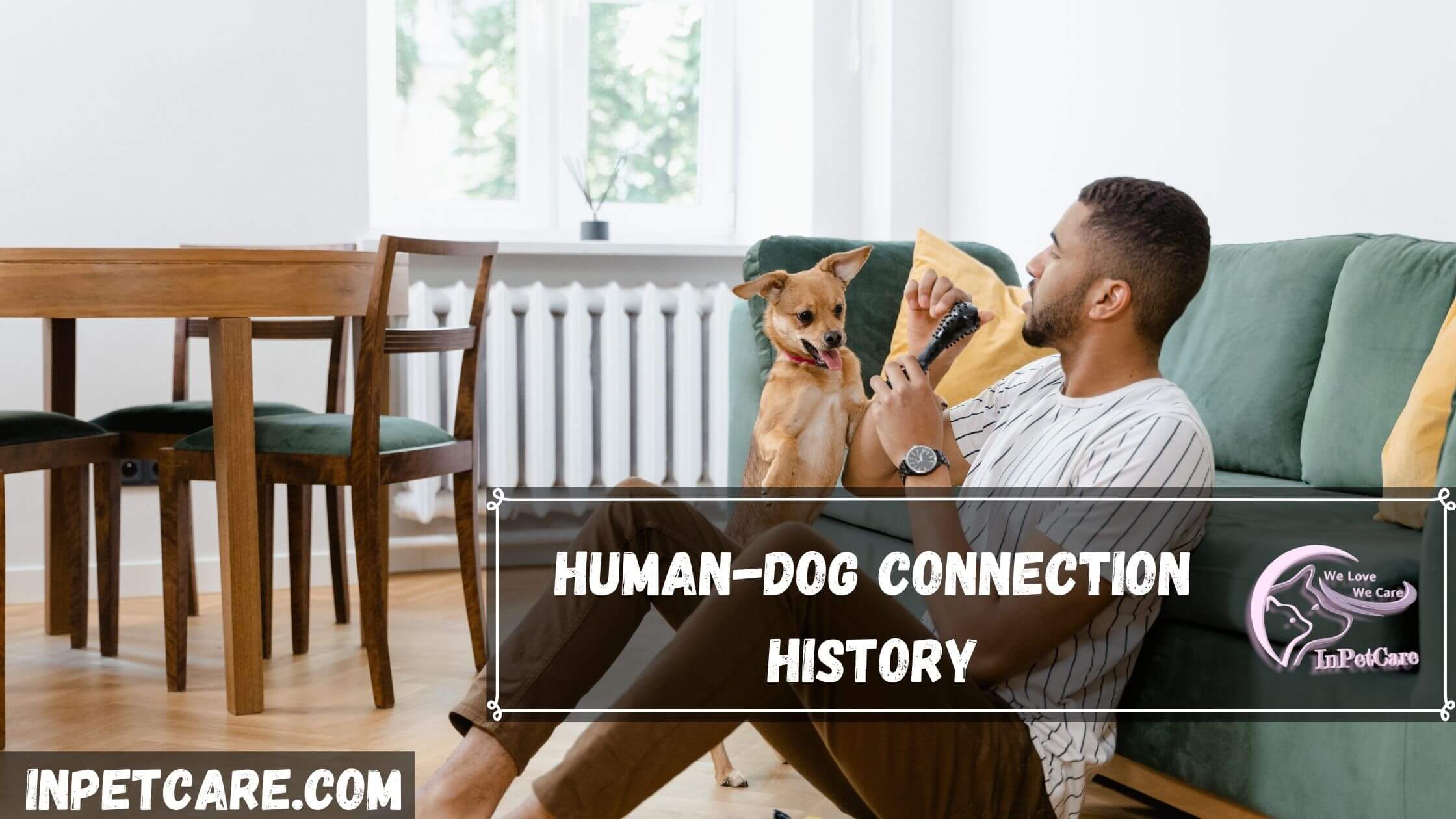 5 Major Reasons Why Do Dogs Like To Be Pet?