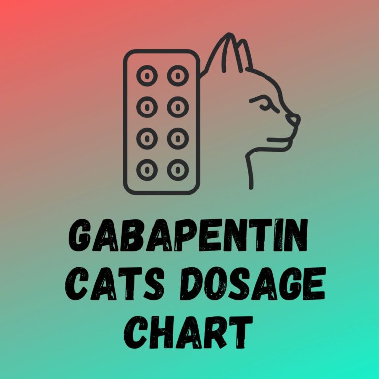 Gabapentin For Cats Dosage Chart Uses And Side Effects