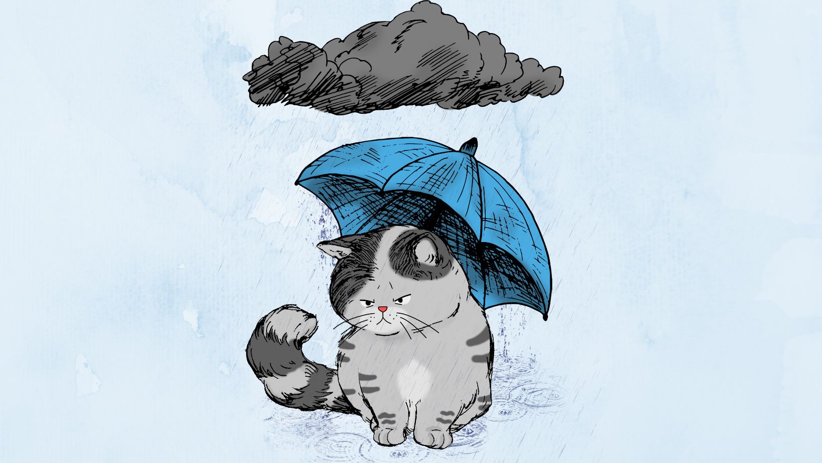 Cat Trembling And Shivering In Rain And Storm: [6 Reasons And Tips]