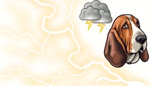 Dog Trembling And Shivering In Rain And Thunder: 7 Reasons And Tips