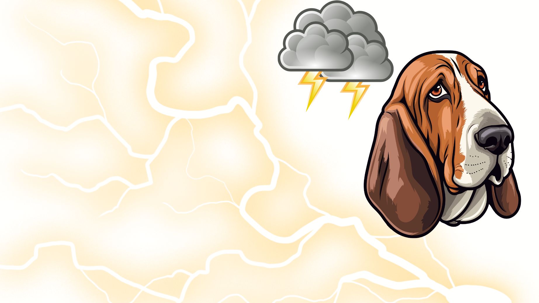 Dog Trembling And Shivering In Rain And Thunder: 7 Reasons And Tips