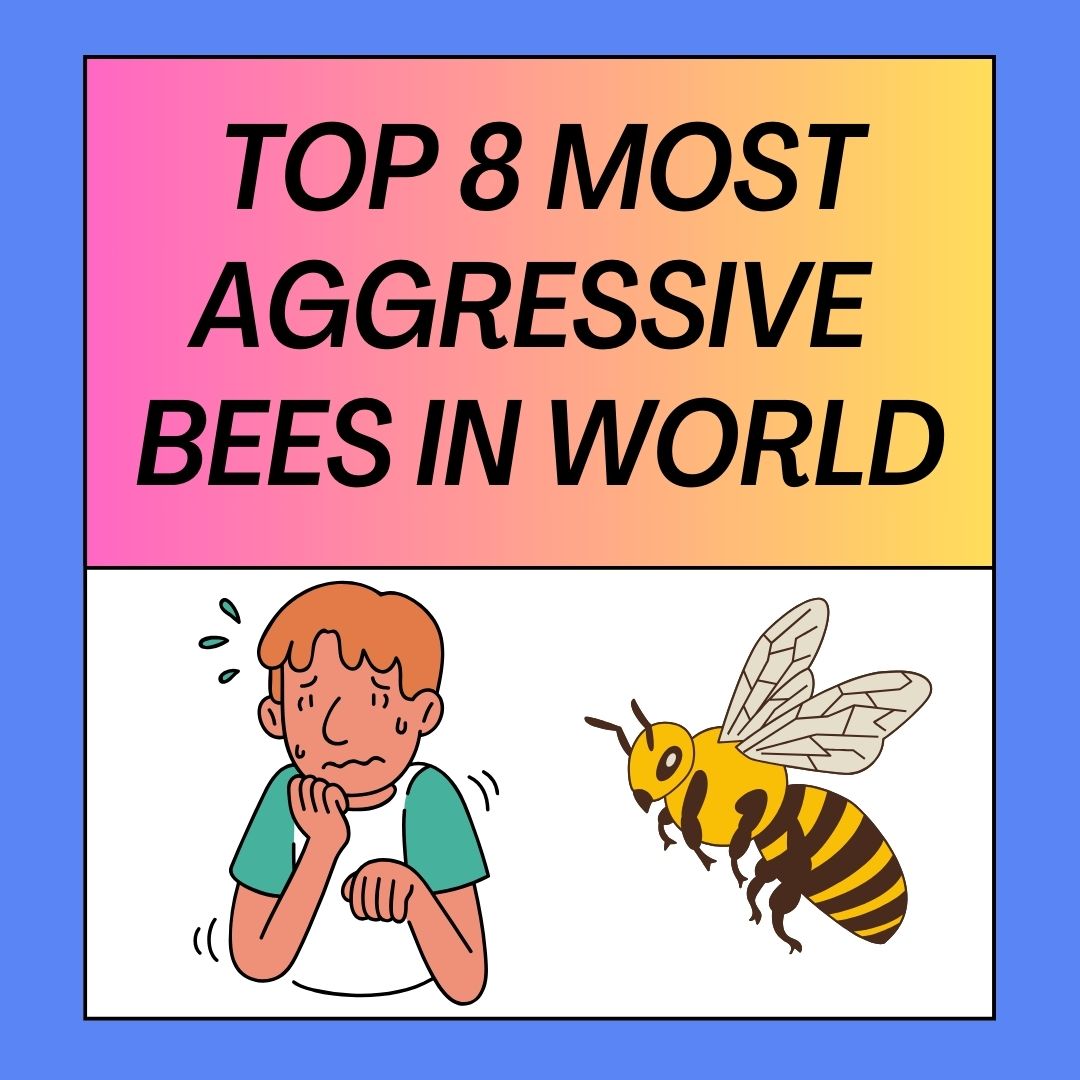 Top 8 Most Aggressive Bees In The World