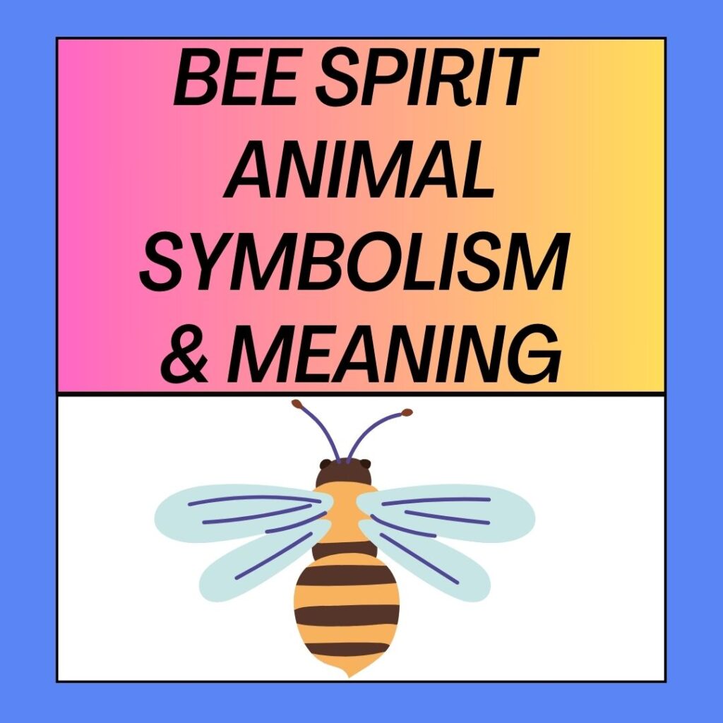Bee Spirit Animal Symbolism & Meaning