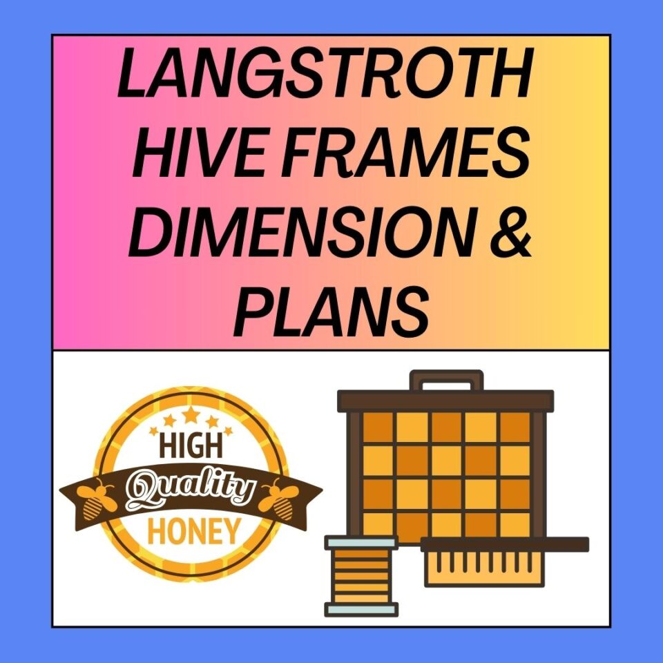 Langstroth Hive Frames Dimensions And Plans 2023