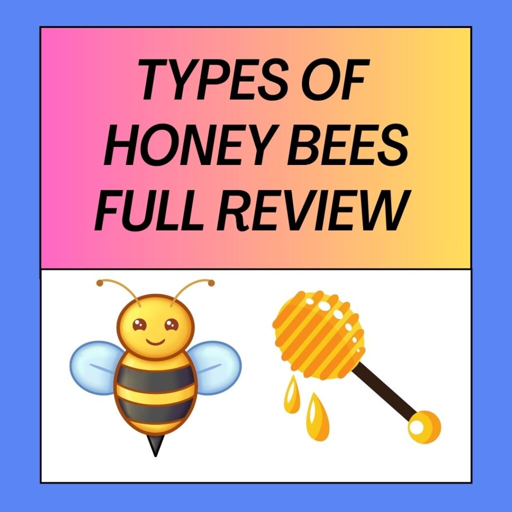 20 Types Of Honey Bees You Must Know