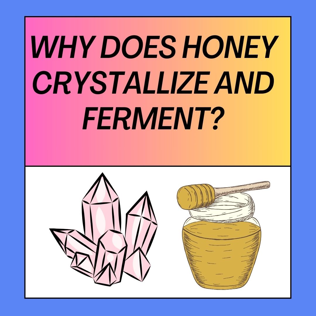 Why Does Honey Crystallize And Ferment? How To Decrystallize It