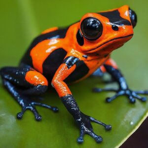 33 Extinct Animals: A Eulogy For Lost Species (With Pictures)