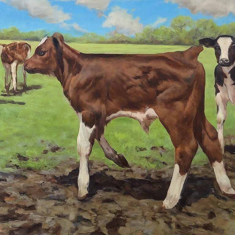 13 Animals That Wallow In Mud Or Dust Bathe