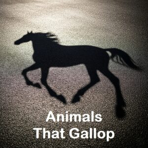 20+ Animals That Gallop: Nature’s High-Speed Marvels