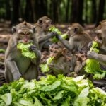 17 Animals That Eat Lettuce: An In-Depth Exploration